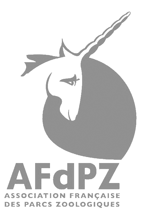 AAB Theming - Carved concrete - Rockworks - UHPC